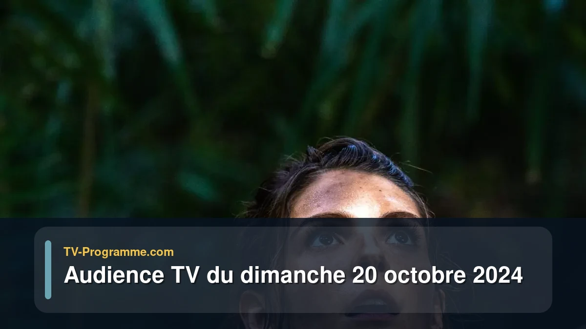 Audience TV du Dimanche 20 octobre 2024
