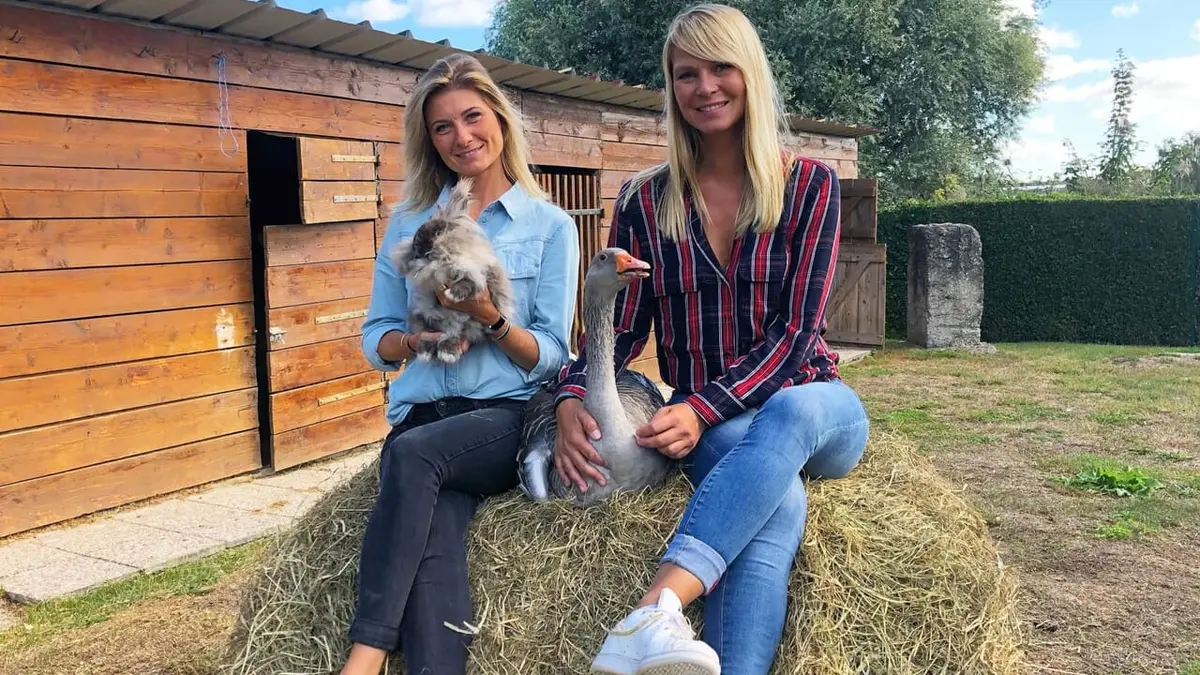 Animaux à adopter : nouvelle famille pour une nouvelle vie - Documentaire (2024)