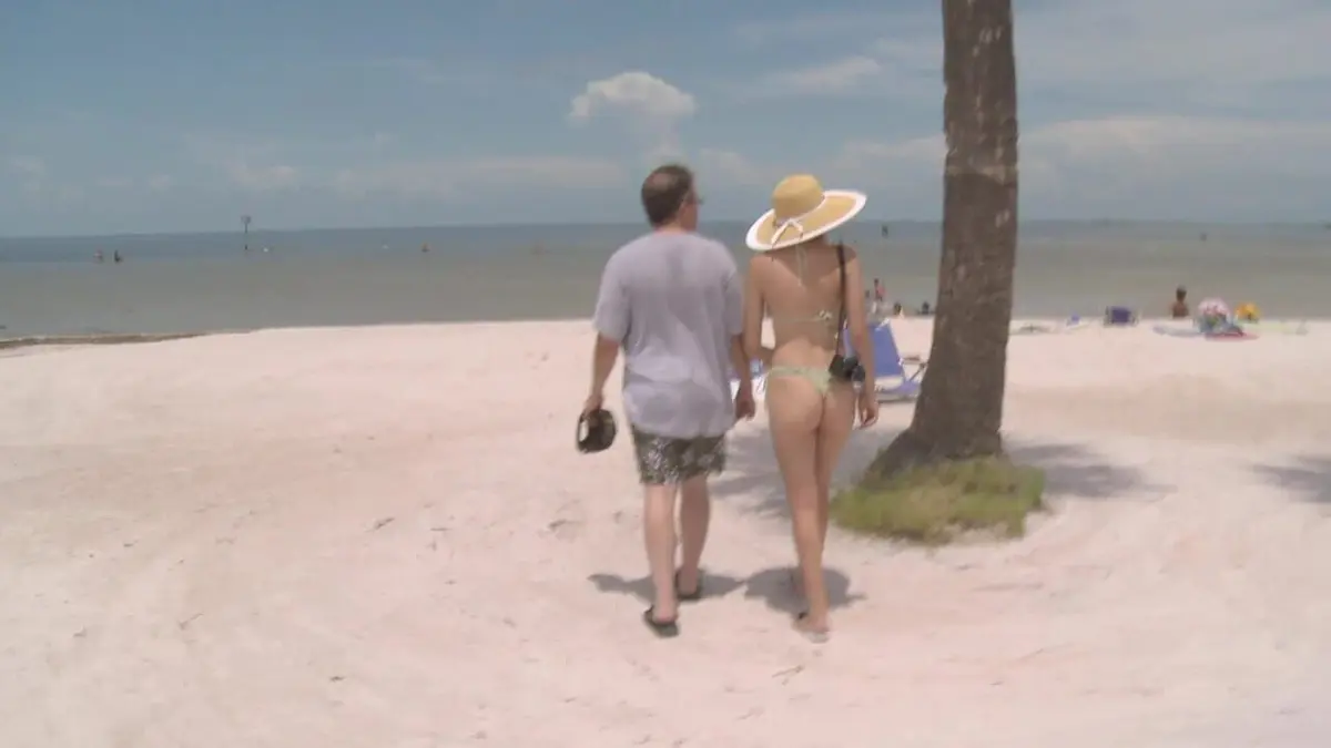 90 jours pour se marier Les couples racontent tout (Documentaire) où regarder TV, Replay, Streaming