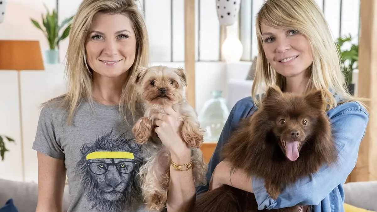 Animaux à adopter : nouvelle famille pour une nouvelle vie (Documentaire) où regarder TV, Replay ...