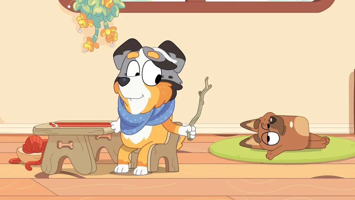 Bluey S01E02 Le week-end / Le barbecue / La chauve-souris frugivore ...