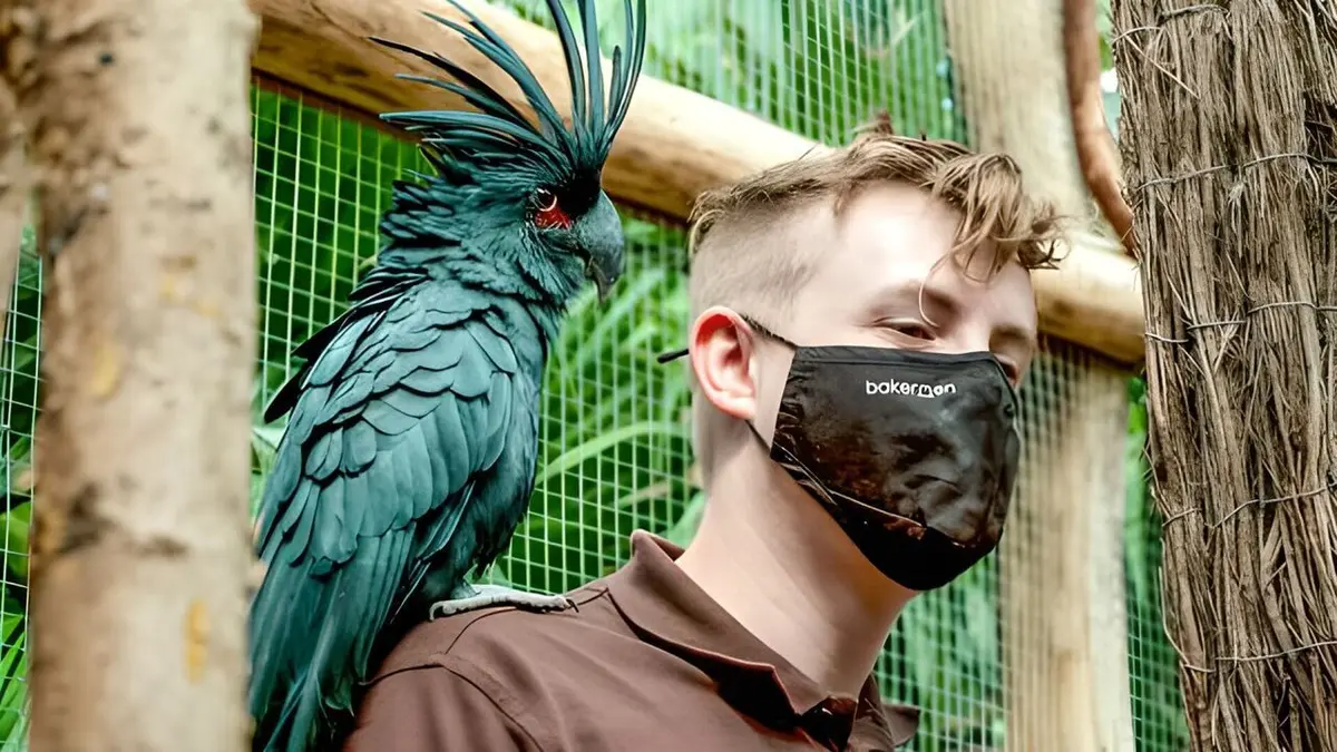 Expédition Pairi Daiza S10E01 (Magazine) où regarder TV,…