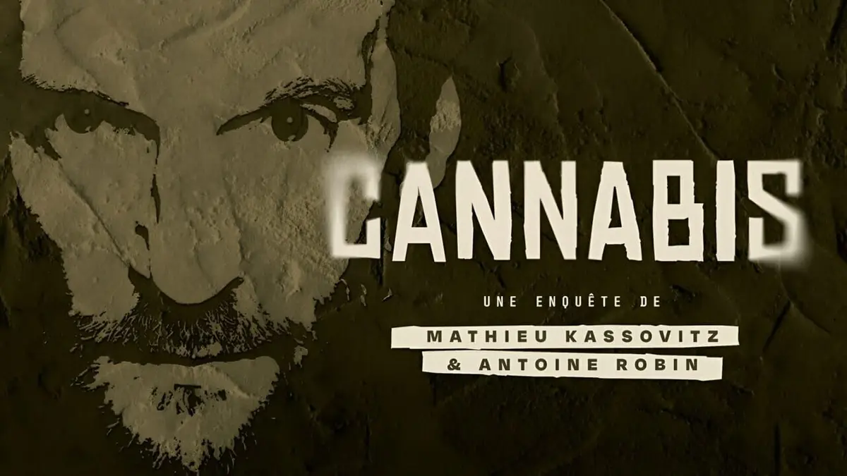 Cannabis : une enquête de Mathieu Kassovitz et Antoine Robin replay : revoir en streaming votre…