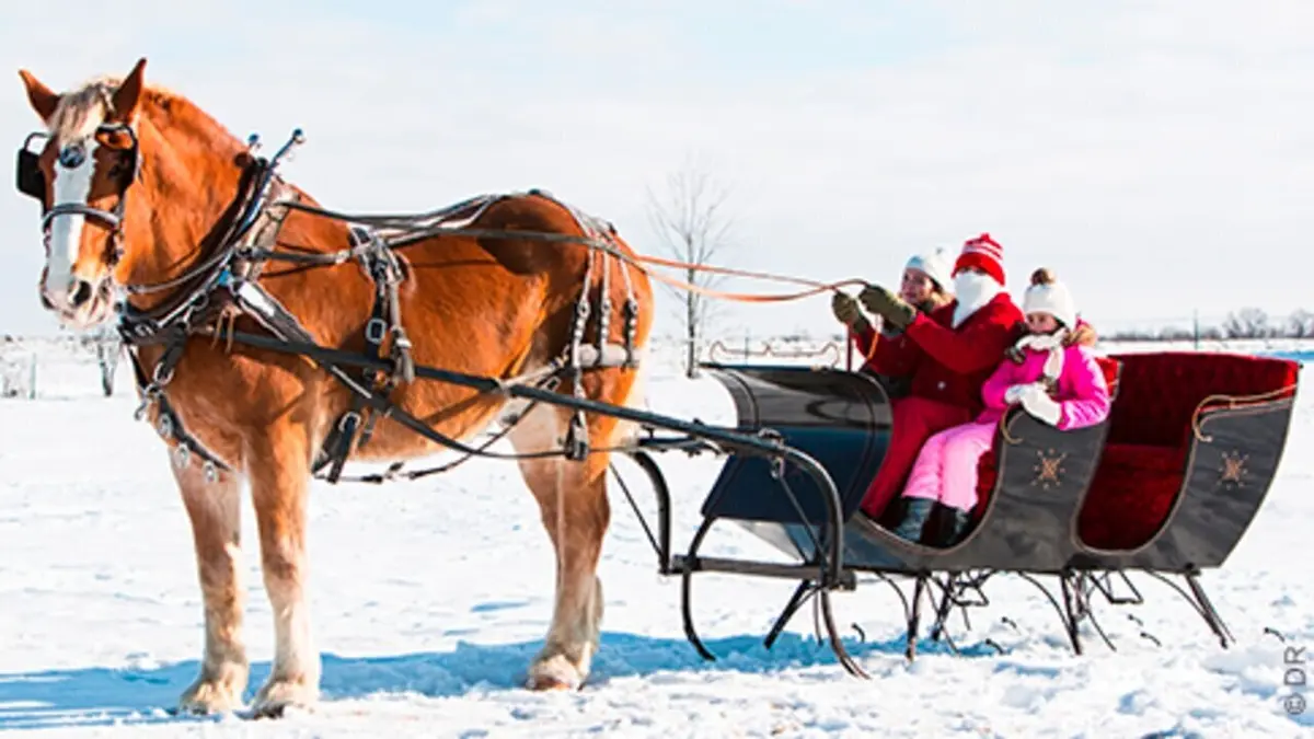 Cher Père Noël... (Téléfilm) où regarder TV, Replay, Streaming