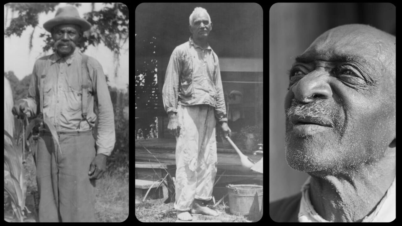 42, la réponse à presque tout L'esclavage a-t-il mené au racisme ...