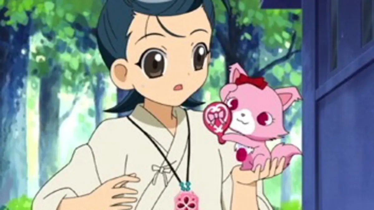 Jewelpet, le royaume des bijoux - Série