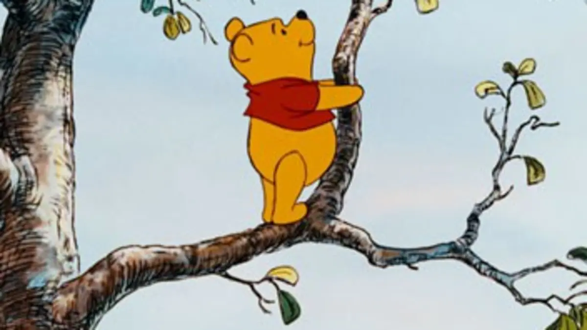 Les escapades de Winnie l'ourson (LSF) Dormez les abeilles (Dessin ...