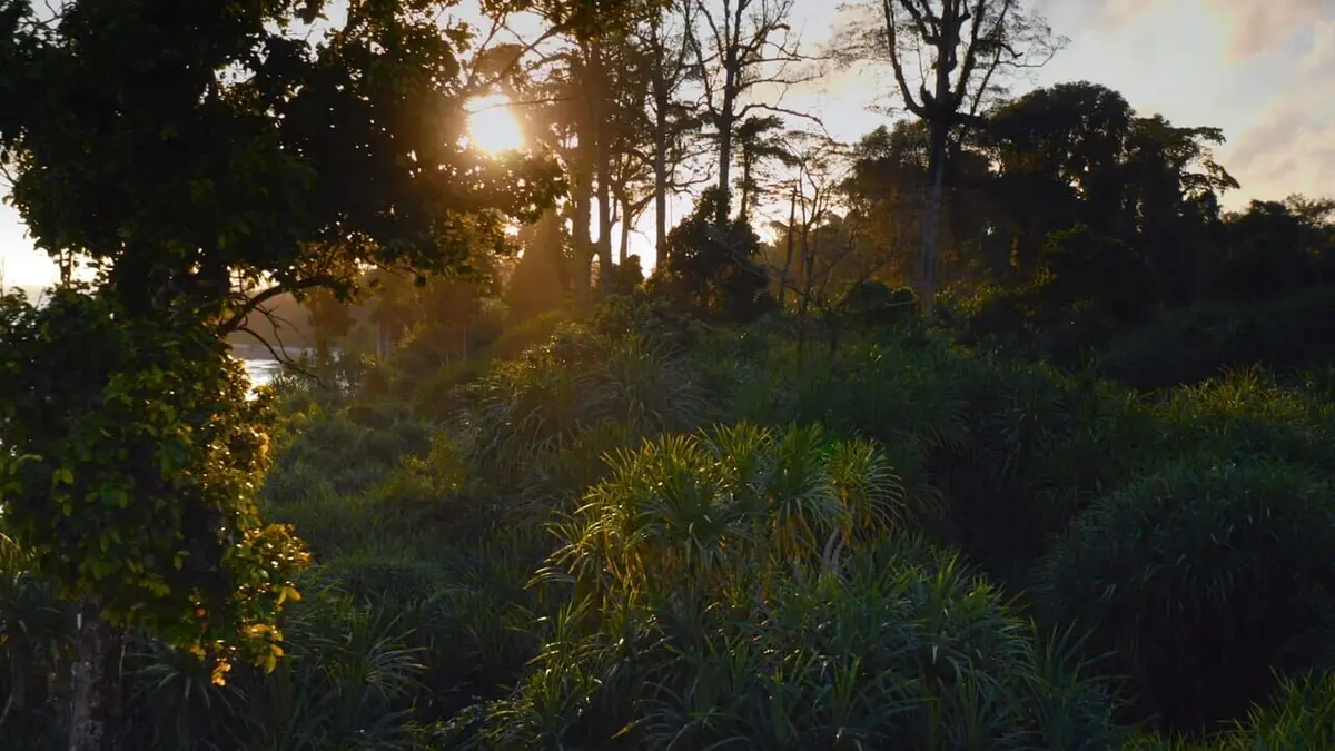 Les îles Nicobar, renaissance d'un archipel (Documentaire) où regarder ...