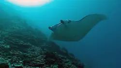 Programme TV du 21 octobre 2025 de 04h à 6h