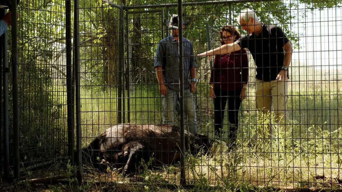 Casting Les secrets du Skinwalker Ranch : acteurs, réalisateur