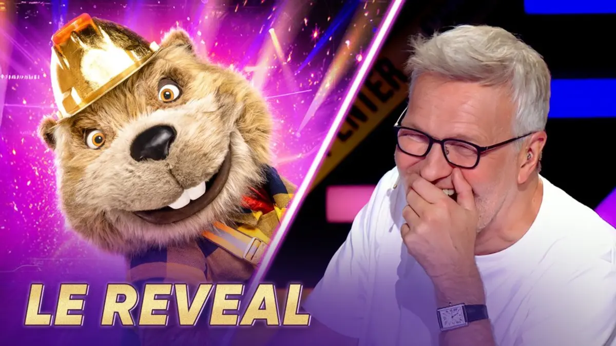 Mask Singer : qui se cachait derrière le Castor et l'Oiseau ? Résumé du ...