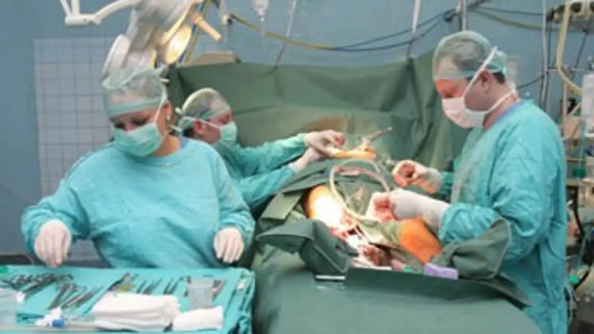 Relooking extrême Erica et Neil (Emission) où regarder TV, Replay ...