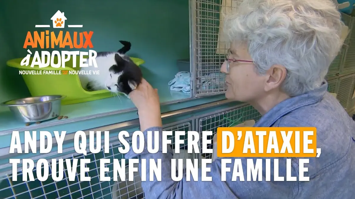 Replay Animaux à adopter : nouvelle famille pour une nouvelle vie du 24/03/2024 : Andy qui souffre…