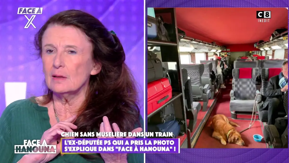 Touche pas à mon poste ! replay du 04/03/2024 : Anne-Yvonne Le Dain, l ...