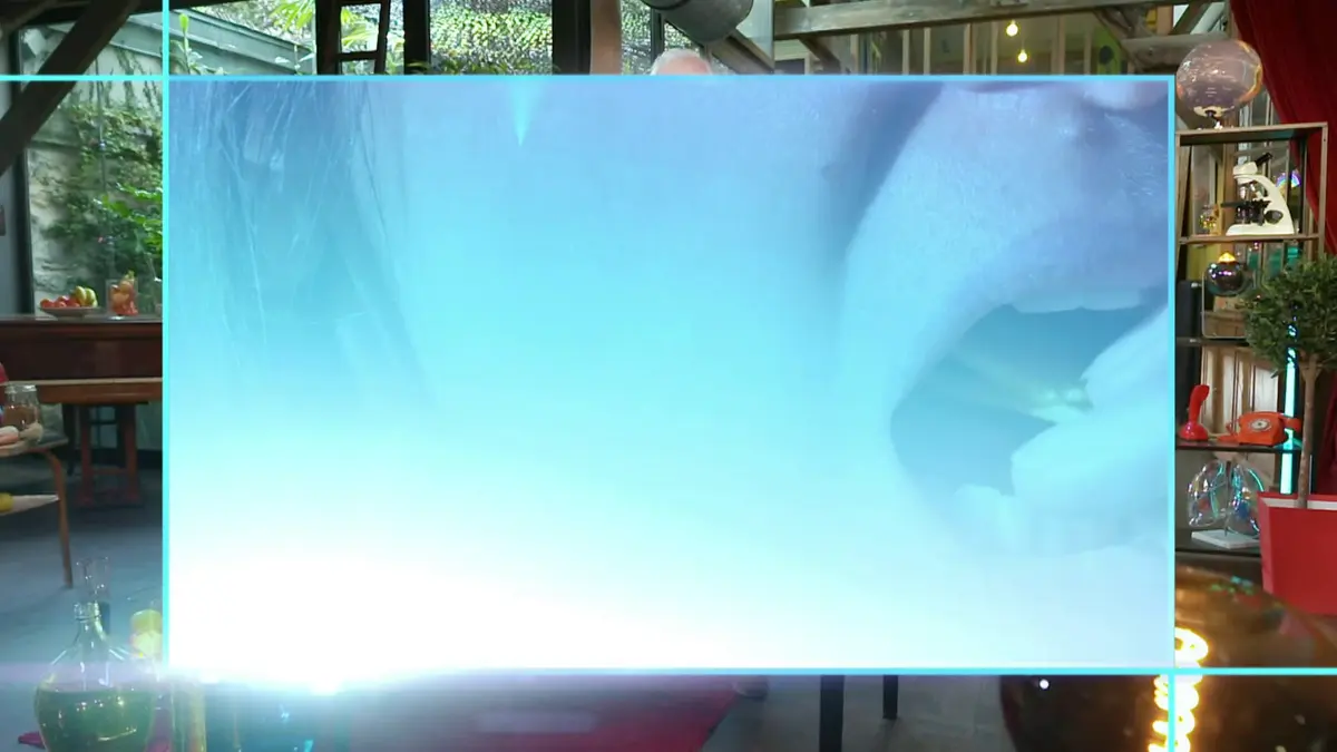 E=M6 replay du 07/04/2024 : e=m6 : Pop-corn, chips, biscottes : la ...