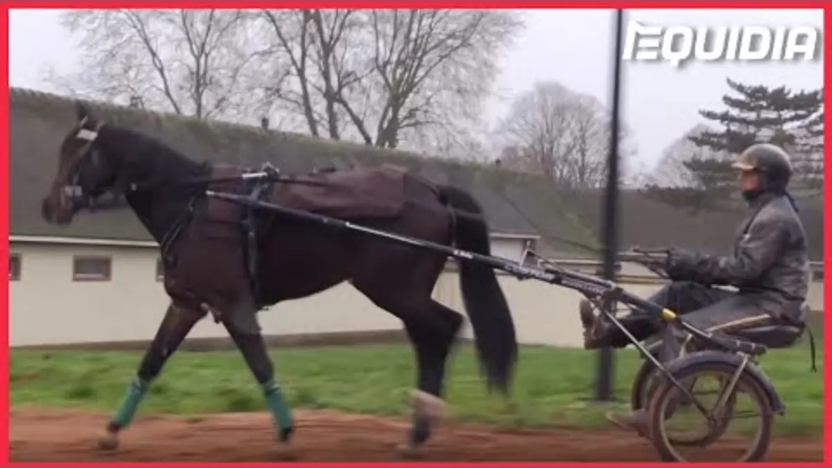 Replay Top courses du 27/01/2023 : HUSSARD DU LANDRET LES YEUX RIVÉS ...