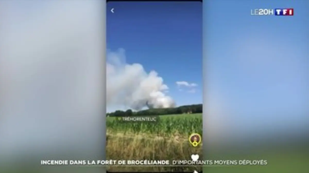 Journal de TF1 replay du 17/07/2025 : Incendie dans la forêt de Brocéliande : d'importants…