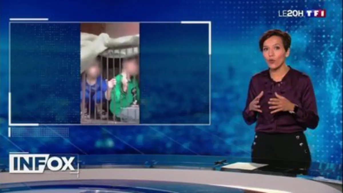 Journal de TF1 replay du 14/10/2023 : Info/Infox : pourquoi les réseaux ...