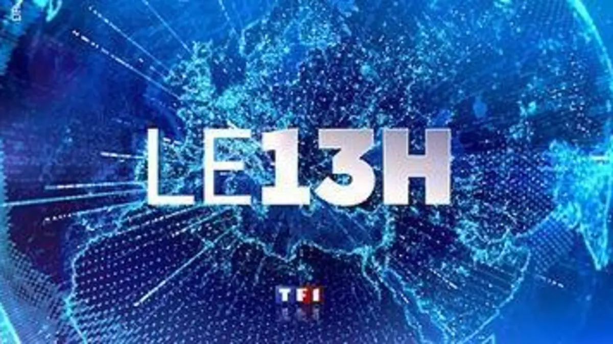 Replay Journal de TF1 du 02/11/2013 : Le 13 heures du 2 novembre 2013