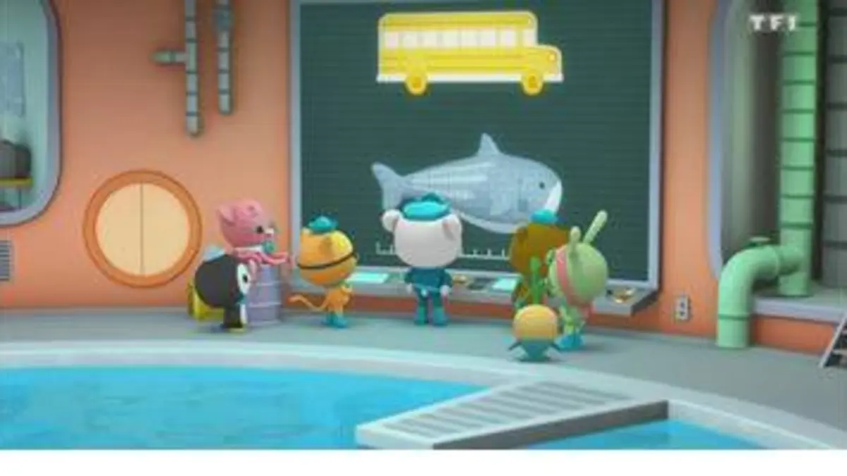 Les Octonauts replay du 07/05/2019 : Les octonauts et le requin baleine ...