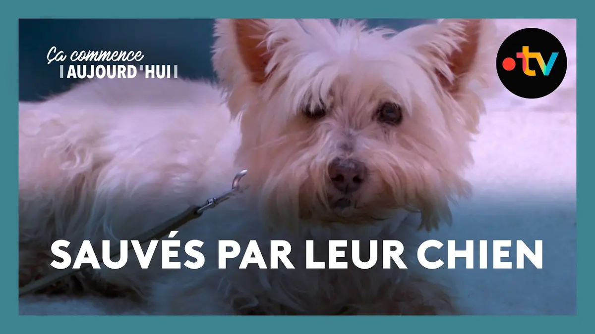 Ça commence aujourd'hui replay du 25/02/2025 : Leur incroyable histoire ...