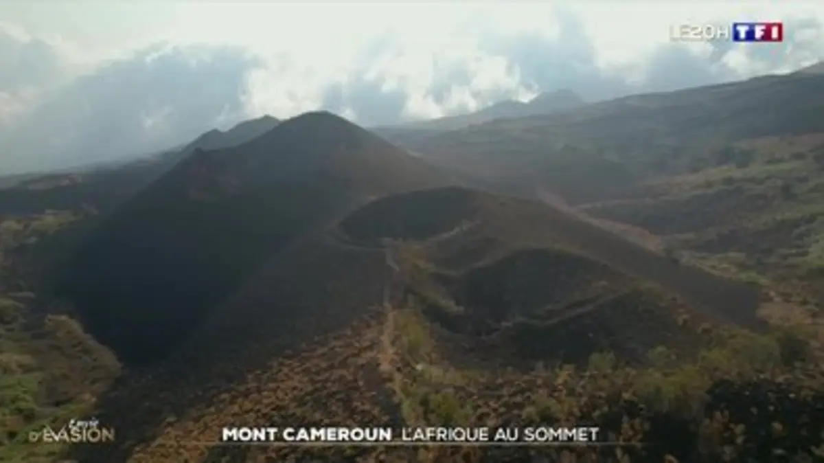 Journal de TF1 replay du 06/03/2024 : Mont Cameroun : l'Afrique au sommet