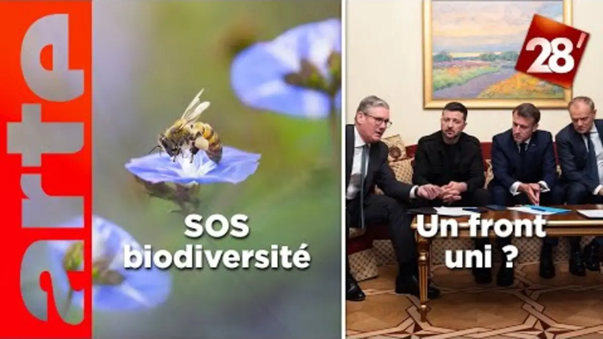 28 minutes replay du 12/05/2025 : SOS biodiversité / Ukraine : l ...