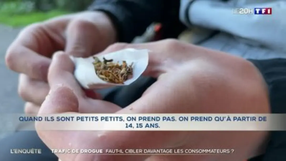 Journal de TF1 replay du 26/10/2023 : Trafic de drogue : faut-il cibler davantage les consommateurs…