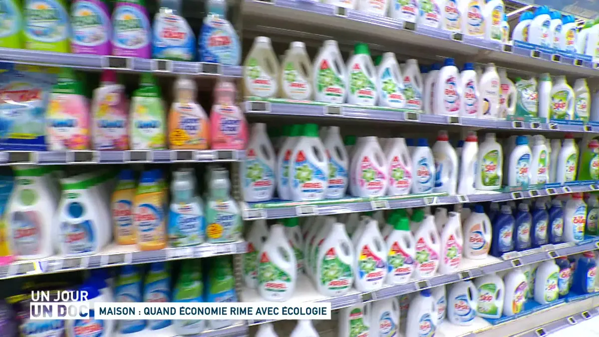 Un jour, un doc replay du 07/02/2024 : Un jour, un doc : Maison : quand ...