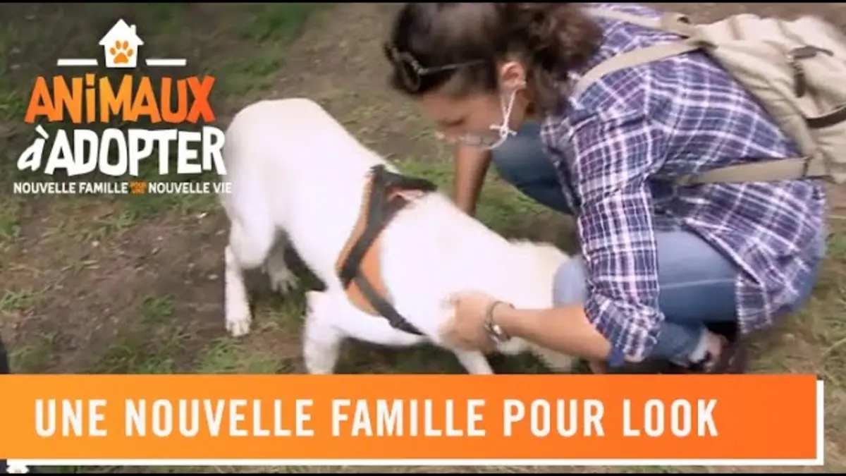 Animaux à adopter : nouvelle famille pour une nouvelle vie replay du 14/03/2022 : Une nouvelle…