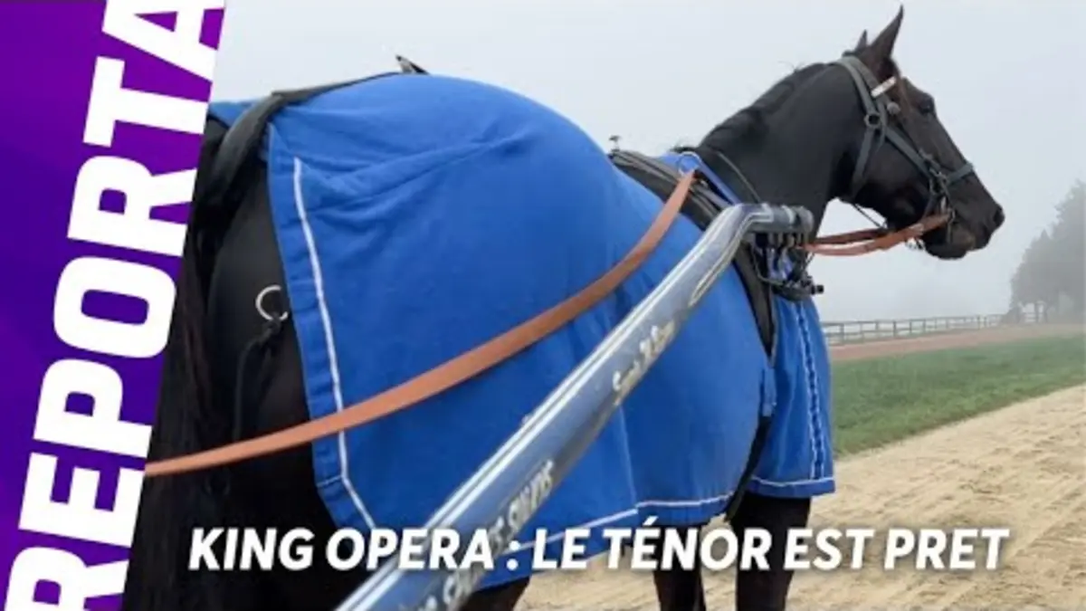 Top courses replay du 18/12/2025 : WILLIAM BIGEON PRÉPARE KING OPERA ...