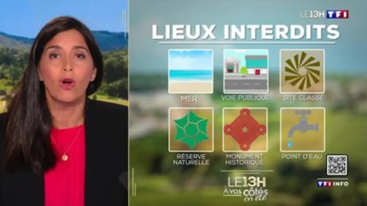 Replay Journal de TF1 du 17/07/2024 : Bivouac, camping sauvage... quelles sont les règles à ...