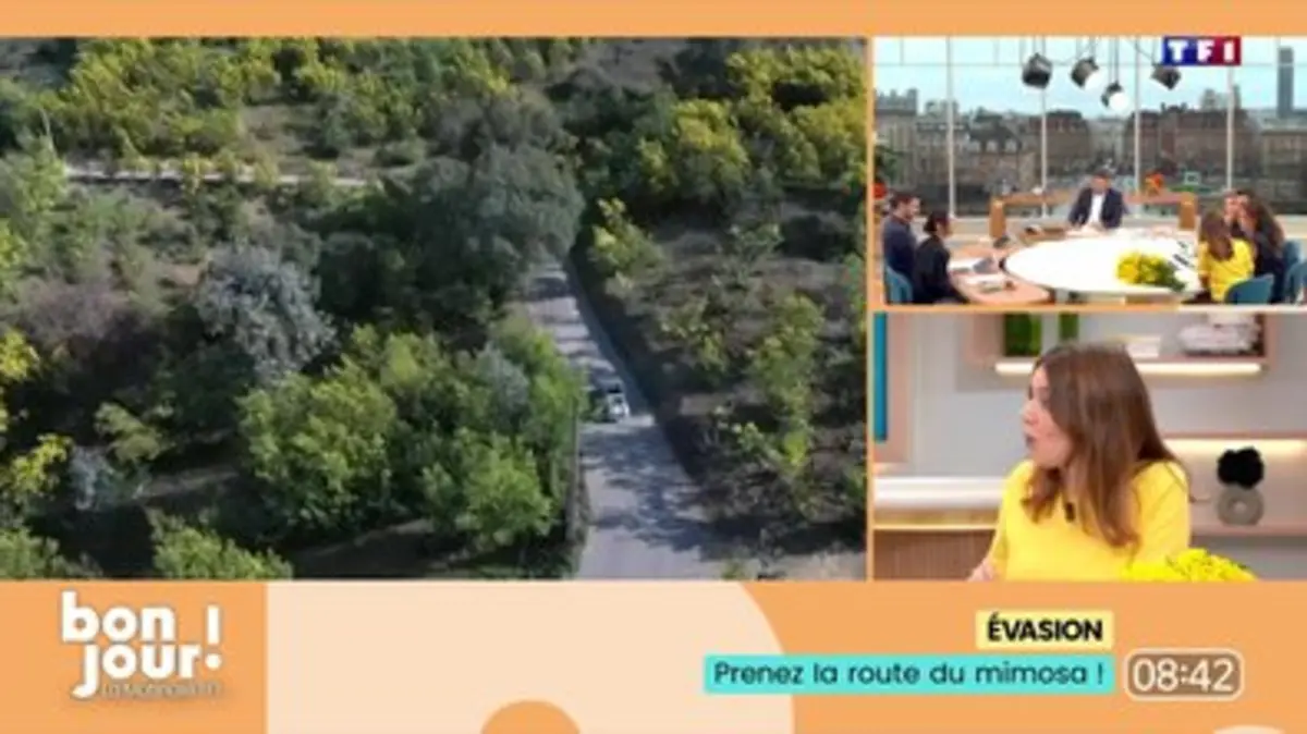 Replay Bonjour ! La Matinale TF1 du 16/02/2024 : Bonjour ! La Matinale TF1 - Prenez la route du ...