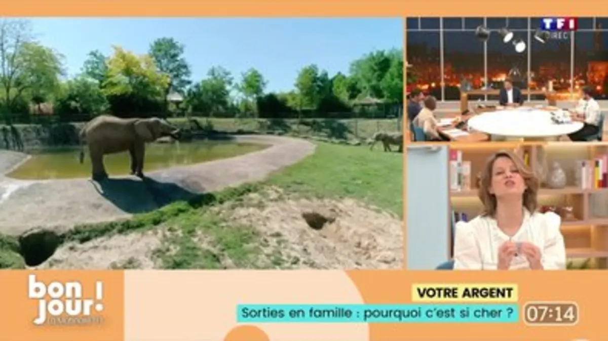 Replay Bonjour ! La Matinale TF1 du 21/02/2024 : Bonjour ! La Matinale ...