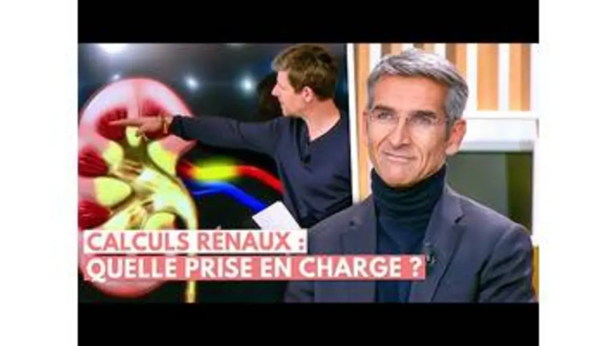 Replay Enquête de santé du 12/10/2021 : CALCULS RÉNAUX : QUELLE PRISE ...