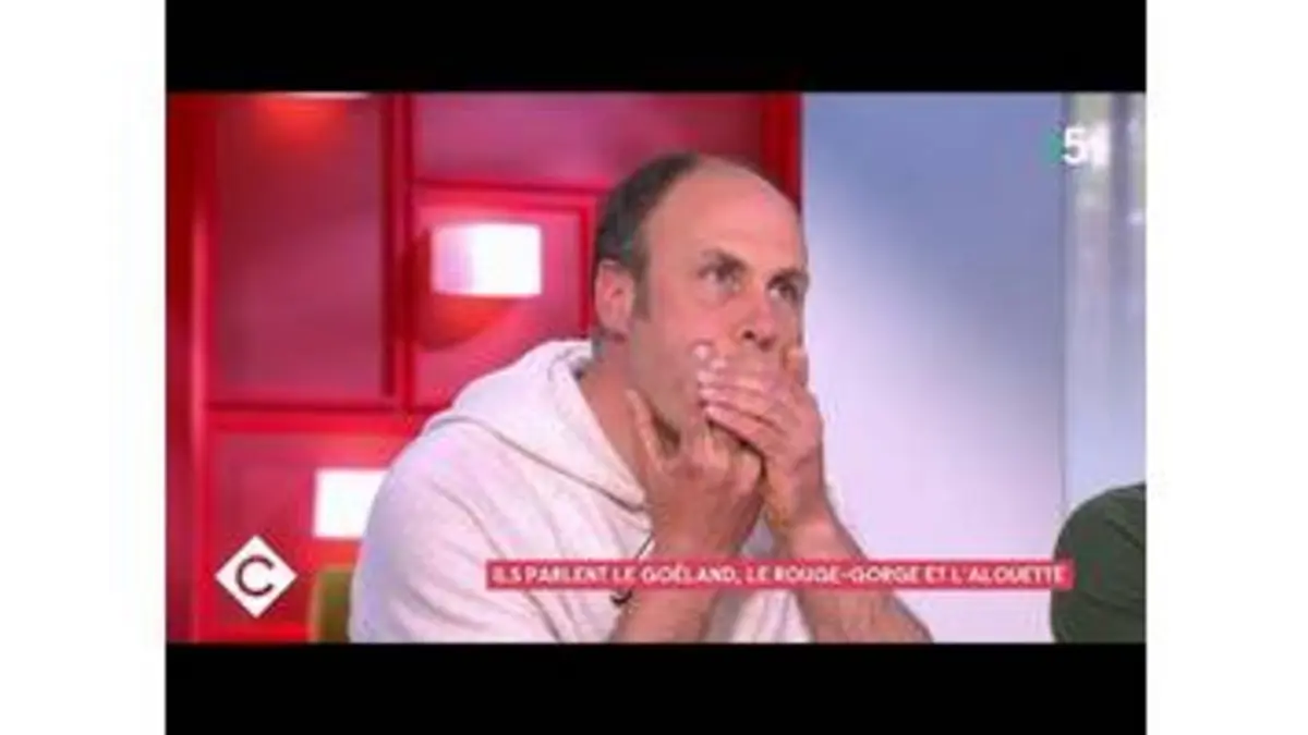Replay C à vous du 12/05/2023 : Chanteurs d'oiseaux en spectacle à la ...