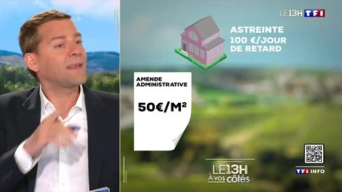 Replay Journal de TF1 du 06/05/2024 : Débroussaillage, qui doit faire ...