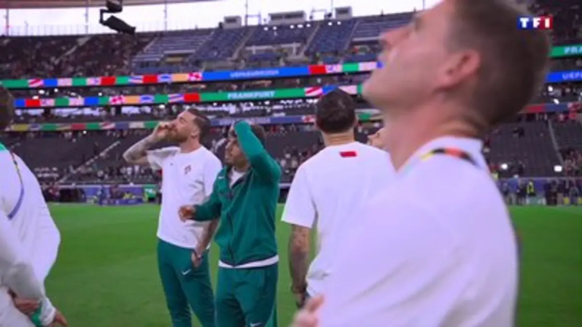 Replay TF1 du 02/07/2024 : France - Belgique : voir la réaction des joueurs portugais lors de l ...