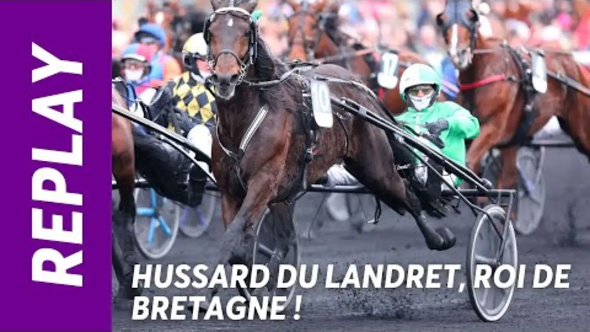 Replay Top courses du 18/11/2024 : HUSSARD DU LANDRET S'ADJUGE LA ...
