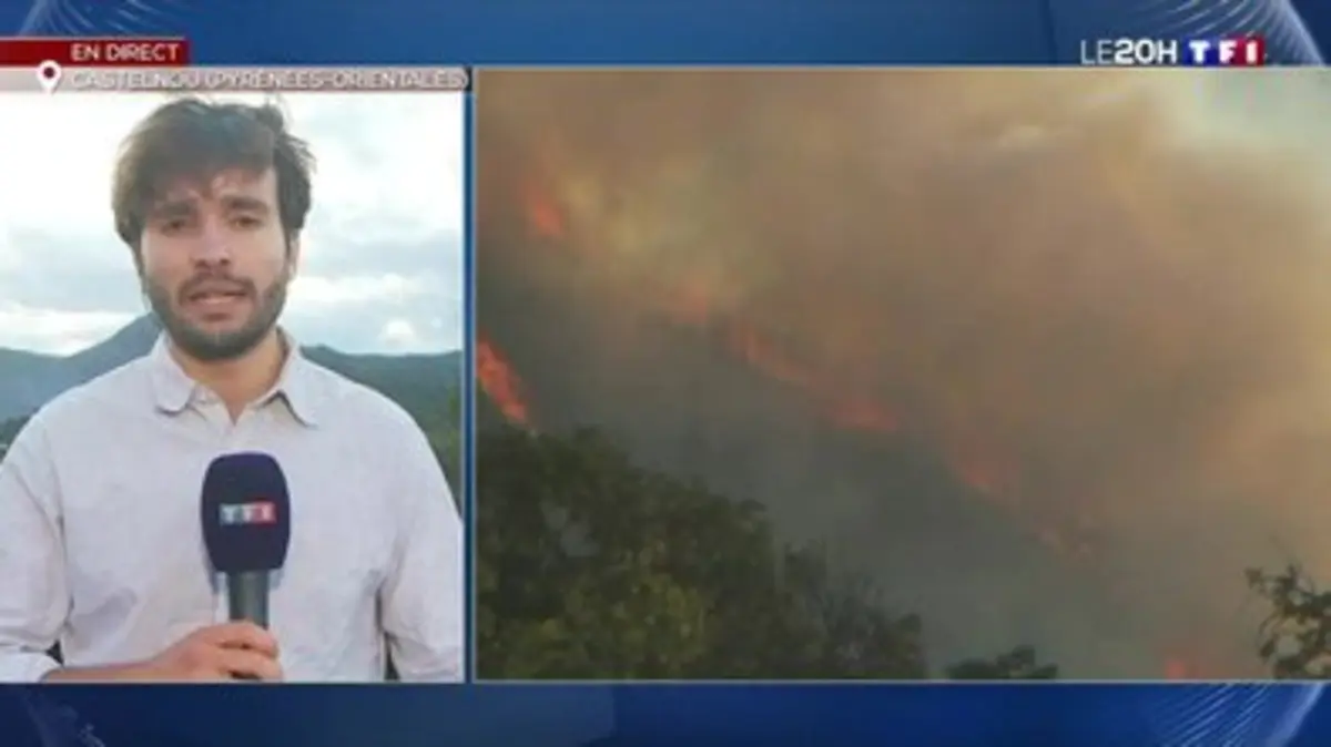 Replay Journal de TF1 du 12/09/2024 : Incendie dans les Pyrénées-Orientales : le travail des ...