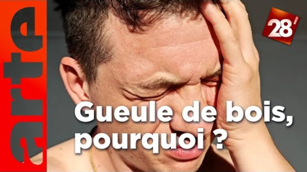Replay 28 minutes du 16/02/2025 : Intéressant : Pourquoi l’alcool fait ...