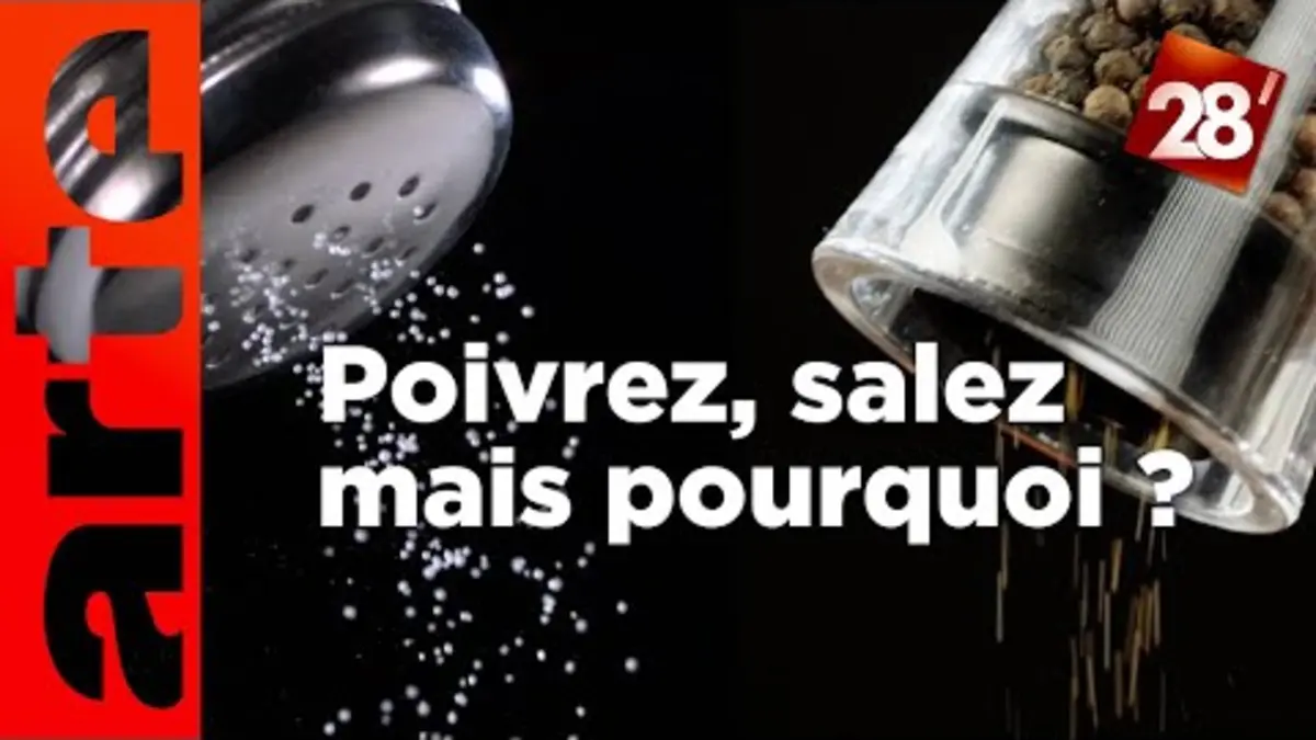 Replay 28 minutes du 24/11/2024 : Intéressant : Pourquoi met-on du sel ... Replay 28 minutes du 24/11/2024 : Intéressant : Pourquoi met-on du sel ...