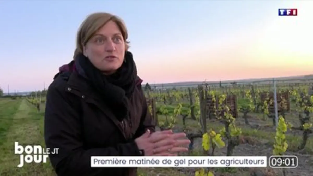 Replay Bonjour ! La Matinale TF1 du 22/04/2024 : Le JT du lundi 22 avril à 9h - Bonjour ! La ...