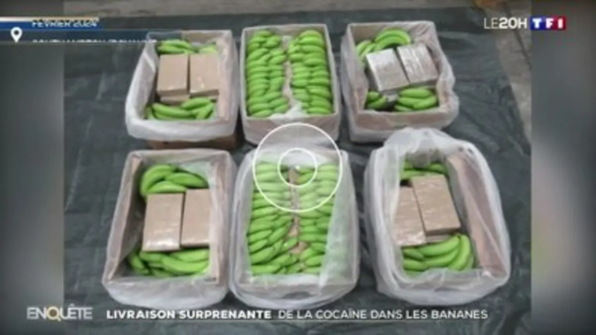 Replay Journal de TF1 du 15/09/2024 : Livraison surprenante : de la ...