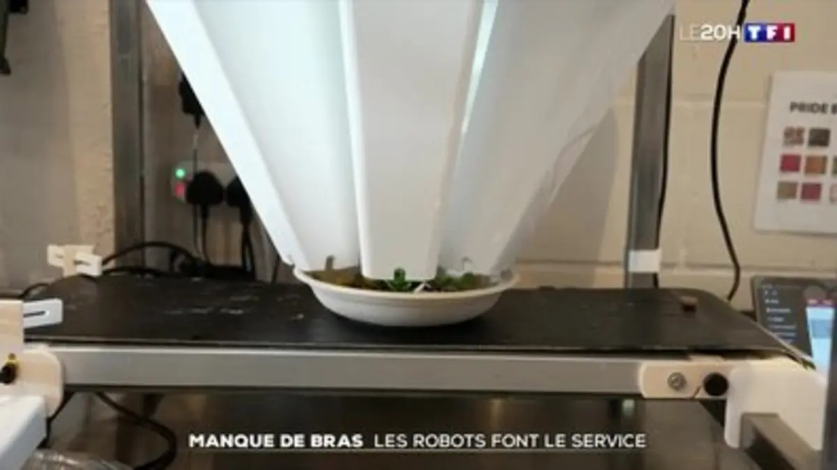 Replay Journal de TF1 du 21/09/2024 : Manque de bras : les robots font le service