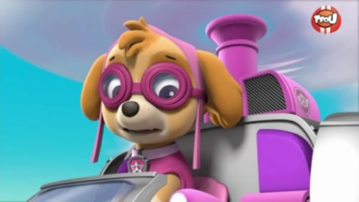 Replay TFou du 30/08/2024 : Paw Patrol, la Pat'Patrouille - Le Hippo ...