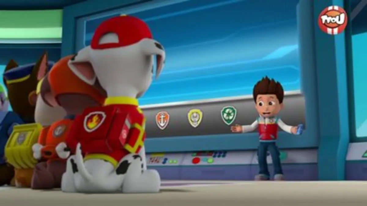 Replay TFou du 28/05/2024 : Paw Patrol, la Pat'Patrouille - Le match de ...