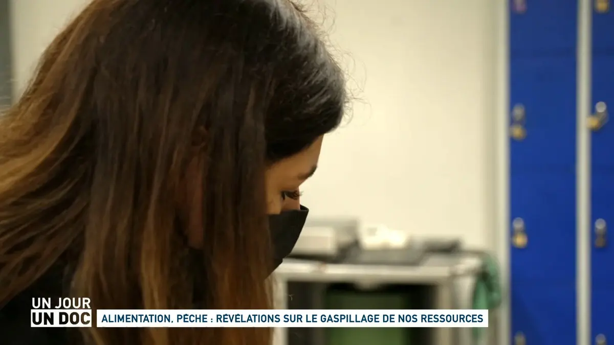 Replay Un jour, un doc du 07/09/2023 : Un jour, un doc : Alimentation, pêche : révélations sur ...