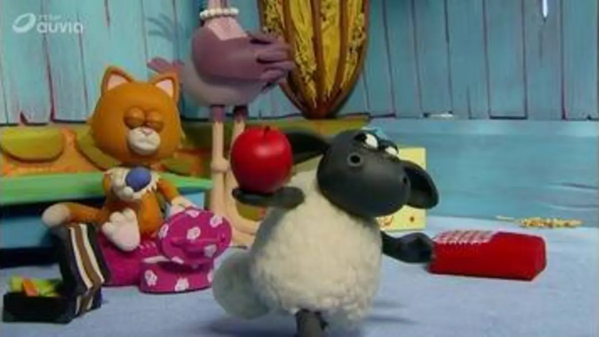 Replay Voici Timmy du 31/08/2017 : Voici Timmy