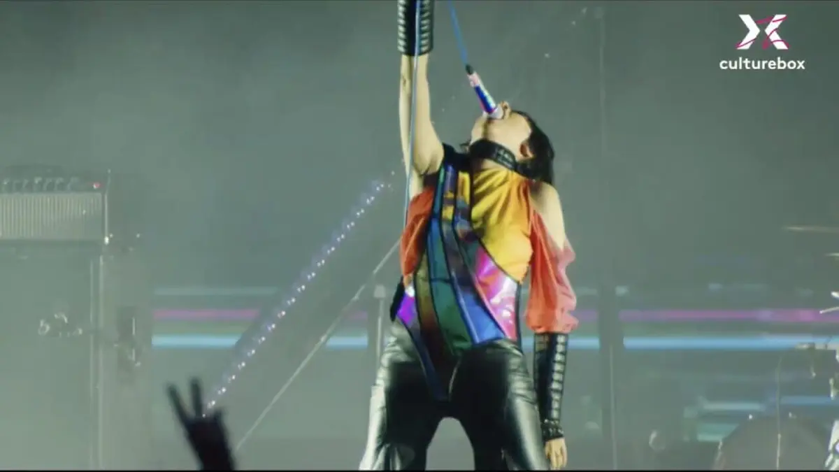 Rock en Seine Yeah Yeah Yeahs - Concert (2023)